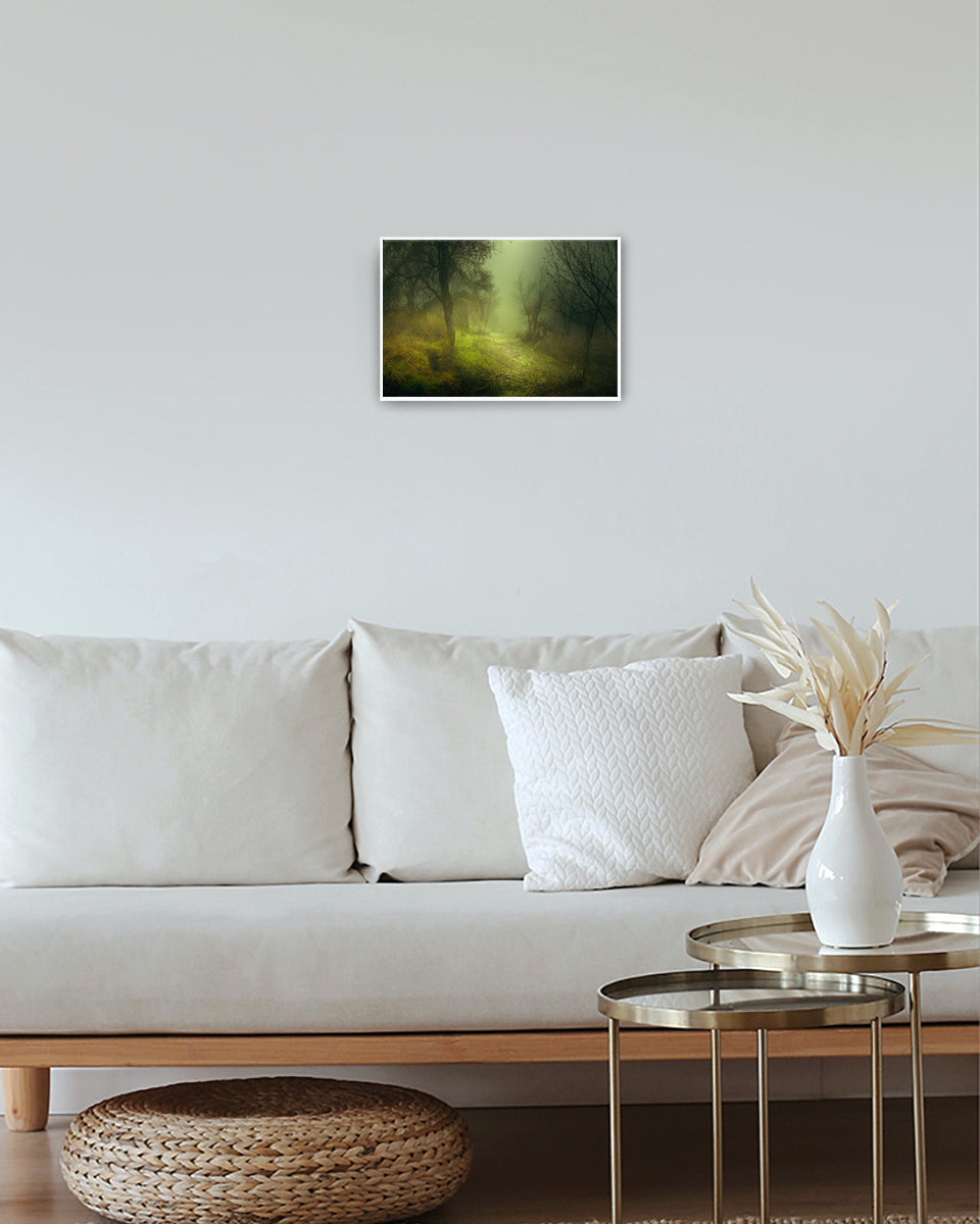 Sliver of Light – Henri Prestes Studio